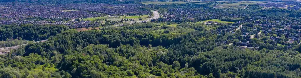 Roundtable Discussions to Inform the Potential 10-Year Coordinated Land ...